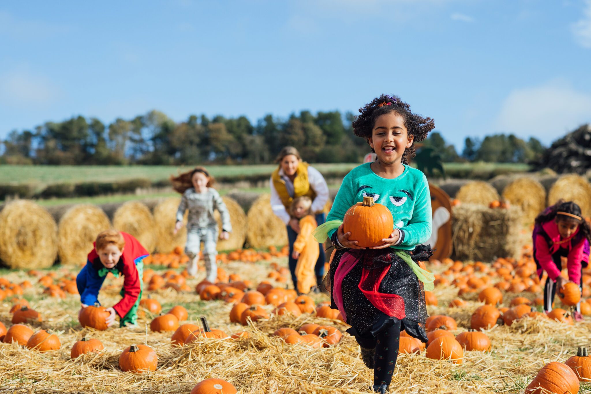 Must Visit Pumpkin Patches in Maine - DFD Russell Medical Centers